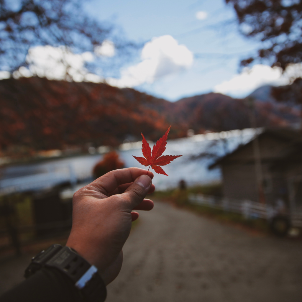 Tirage Entrée express #341 : Un record de 7 500 invitations pour les ...