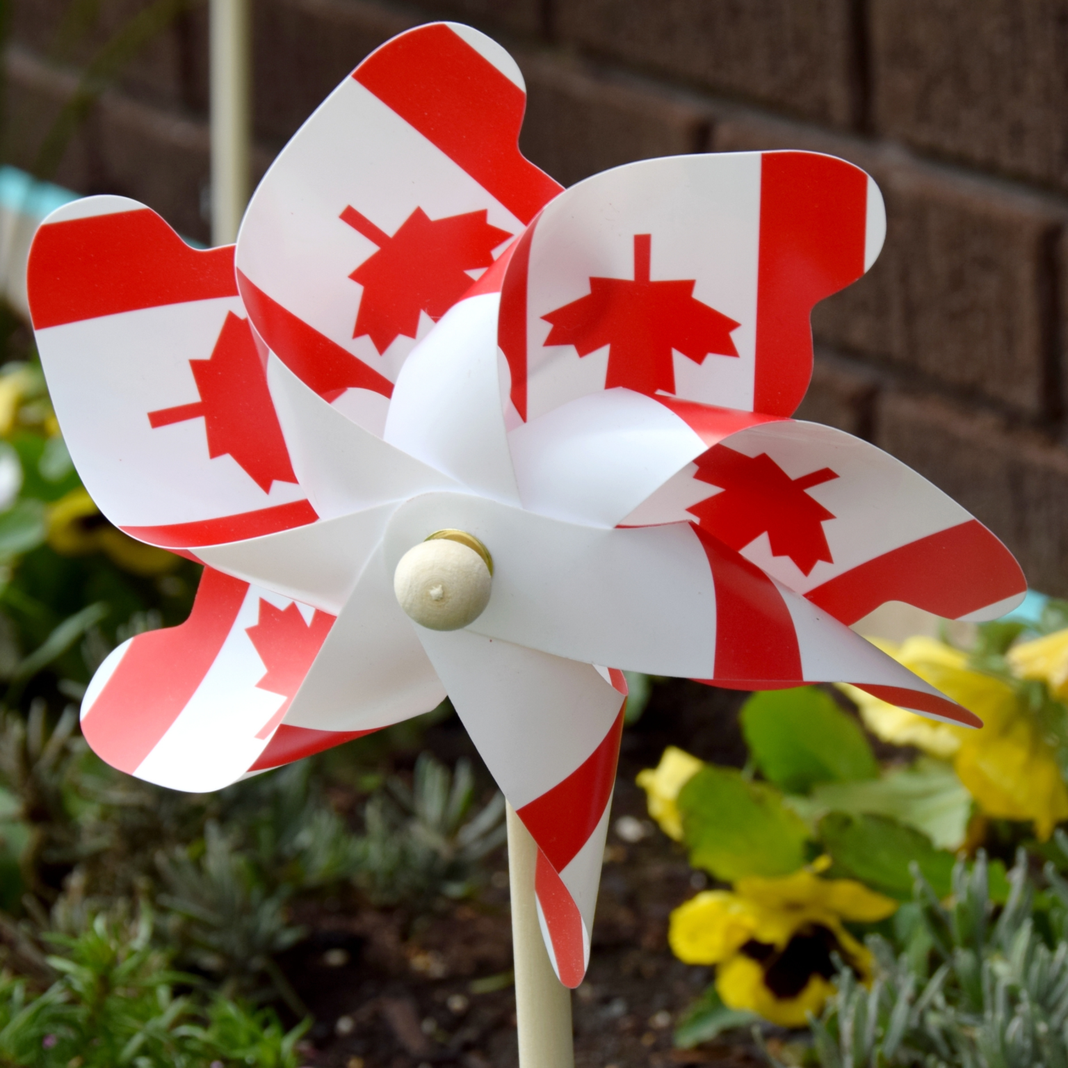 IRCC met à jour la preuve de fonds suffisants pour Entrée Express le 7 juillet 2025