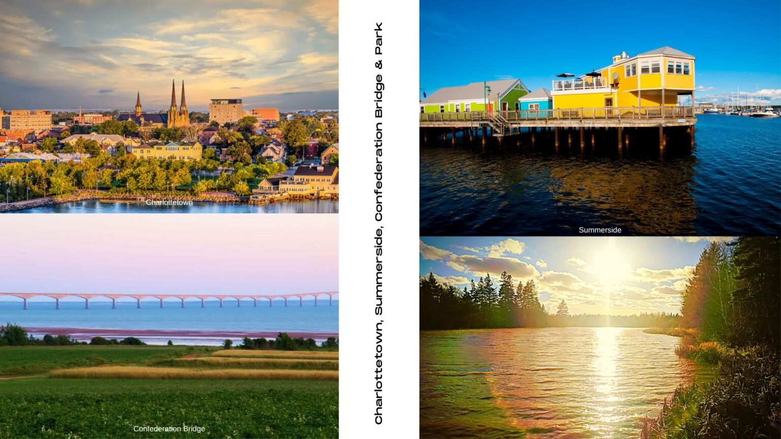 Bilan des invitations POCI 2025 : Où en est le programme ontarien au 3 ...